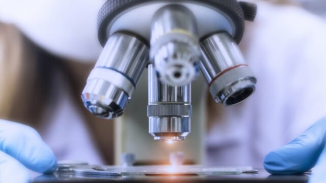 PYC Therapeutics Advances Pre-Clinical PKD Therapy with PYC-003, Set ...